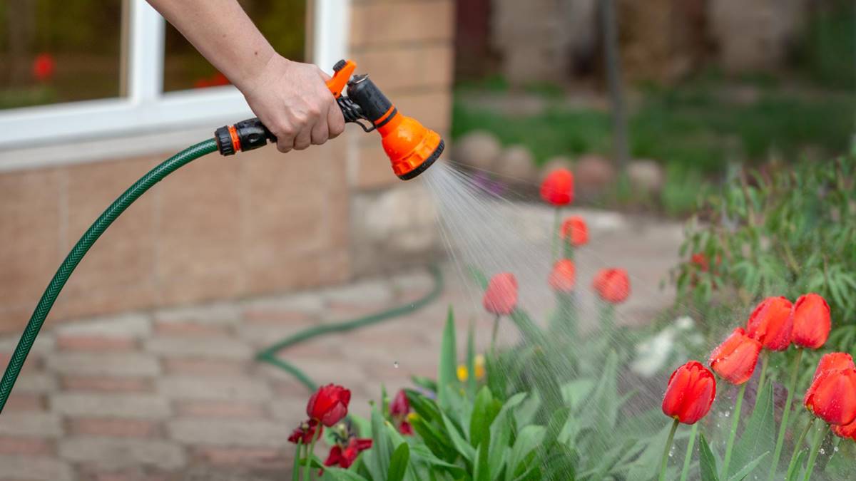 Kert design és öntözés - Stílus Iránytű Magazin